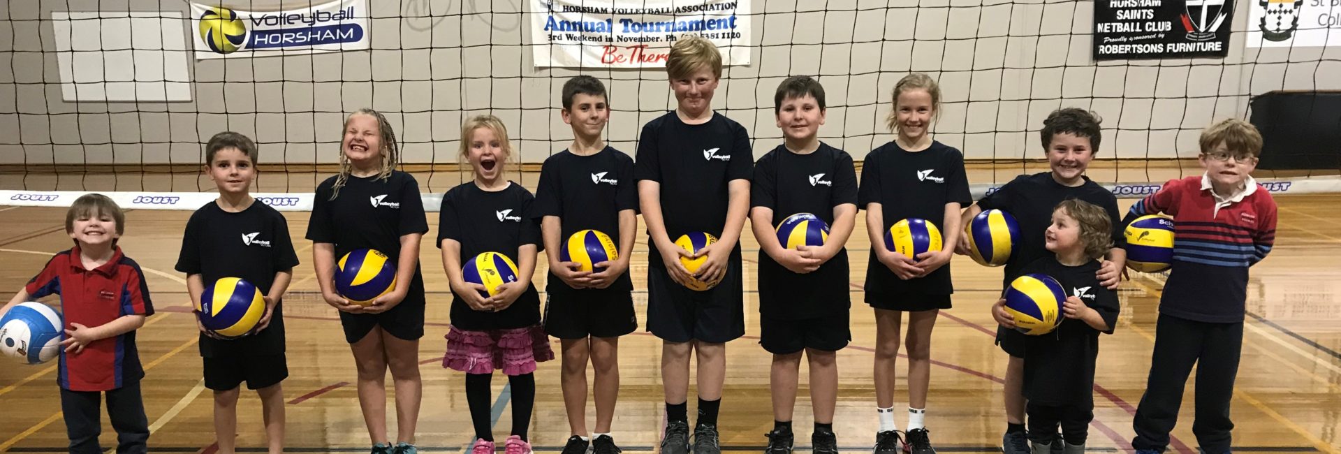 Volleyball Horsham – Senior & Junior Volleyball in Horsham